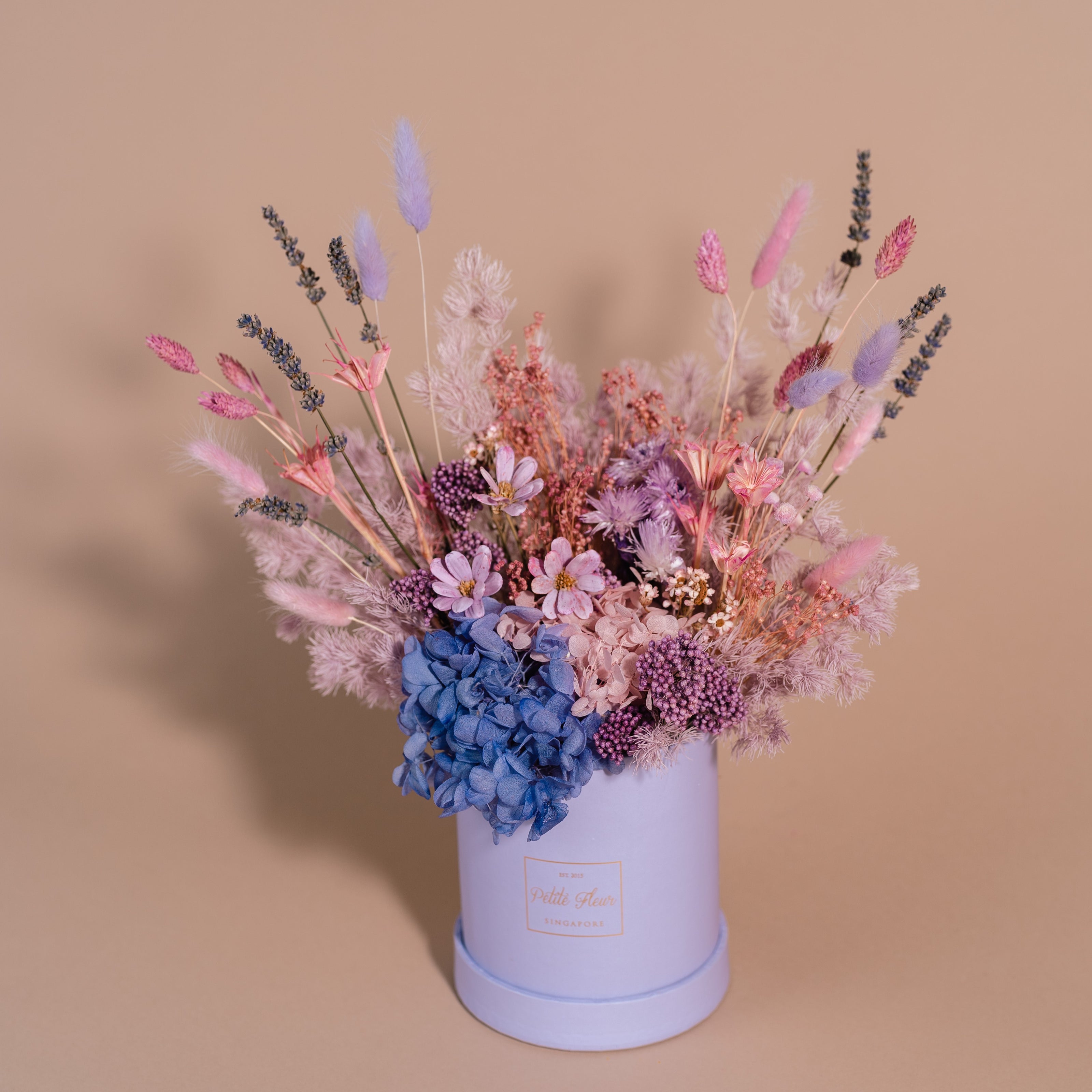 Blushing Akito | Dried Flower | Petite Fleur